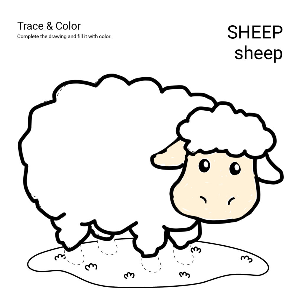 Trace and Color the Sheep - Little Rainbow Artwork