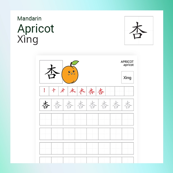 Learn to Write Apricot - 杏 (Xìng) in Mandarin - Little Rainbow Artwork