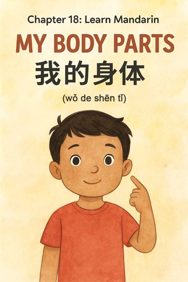 Chapter 18: Learn Mandarin – My Body Parts 我的身体 (wǒ de shēn tǐ)